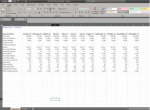 Building A Cash Flow Forecast Template - Datarails